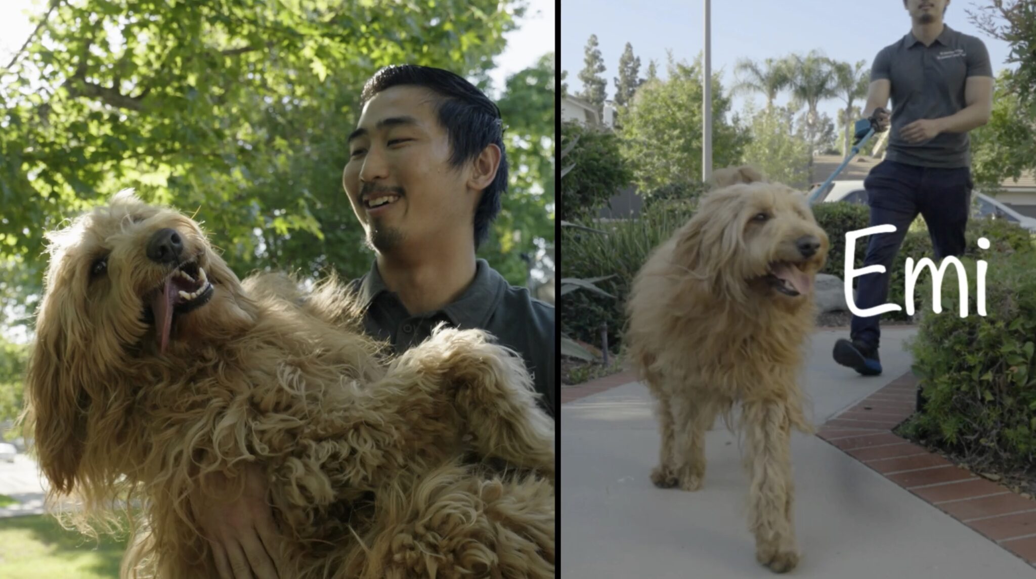 A Better Treat - Connected Commerce Council